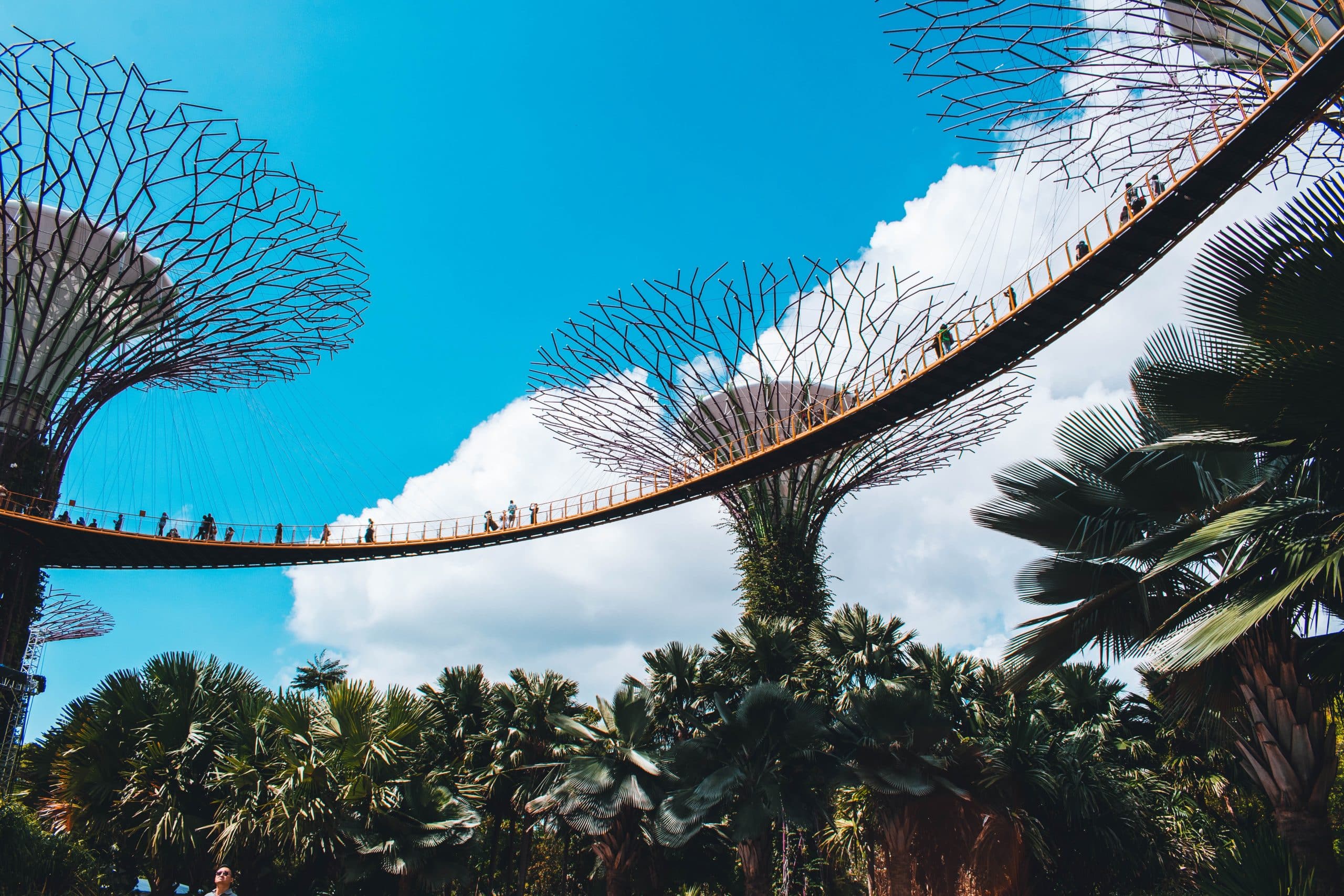 Living as an expat in Singapore | Foyer Global Health